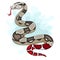 Cartoon Happy Boa Constrictor Snake Stock Illustration - Illustration ...