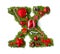 Christmas Alphabet Letter X Stock Image - Image of pine, font: 129091175