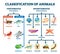 Classification of Animals Vector Illustration. Labeled Division Order ...