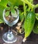 Coins in a Glass Cup in Cucumbers Stock Image - Image of finance ...