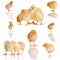 Collage of yellow chicks stock image. Image of chickens - 10077511