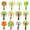 Collection of Trees. Vector Stock Vector - Illustration of summer ...