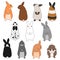 Colorful rabbits set stock vector. Illustration of colorful - 71066373