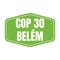 COP 30 in Belem Brazil Symbol Icon Stock Illustration - Illustration of ...