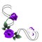 Corner Composition with Violet Roses and Leaves, Illustration on White ...
