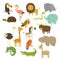 Cute Woodland and Jungle Animals Vector Set Stock Vector - Illustration ...
