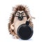 3d Hedgehog has a bomb stock illustration. Illustration of hedgehog ...