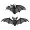 3D Rendering Bats Front and Frontside View Isolated on White Background ...