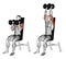 Exercising. Dumbbell Seated Shoulder Press Parallel Grip Stock ...