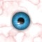 Eyeball Texture Map stock illustration. Illustration of iris - 11234372