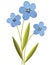 Flores do azul do verão ilustração do vetor. Ilustração de projeto ...