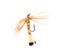 Fly for Fishing on a White Background Stock Photo - Image of hackle ...