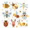 Funky Bugs and Insects Set of Small Animals with Smiling Faces and ...