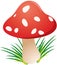 Funky toadstool stock illustration. Illustration of fungi - 1021705