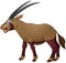 Happy Oryx Cartoon Isolated on White Background Stock Vector ...
