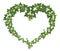 Heart Symbol Formed from Ivy. Stock Vector - Illustration of grapes ...