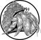 Hermit Crab Line Art Stock Illustrations – 179 Hermit Crab Line Art ...