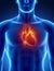 Human Heart in Detail with Glowing Rays Stock Illustration ...