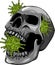 Human Skull with Virus Vector Illustration Design Stock Vector ...