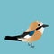 An Illustration of a Cute Eurasian Jay Stock Vector - Illustration of ...