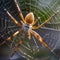 An Immense, Celestial Spider, Its Web Connecting the Galaxies in a ...