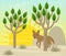 Joshua tree and coyote stock vector. Illustration of nature - 53389262