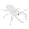 Lucanus cervus stock illustration. Illustration of graphics - 54892856