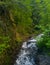 Lush Gorge stock image. Image of stream, lush, vibrant - 5729201