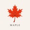 Maple Leaf Line Art Logo Design Vector Stock Illustration ...