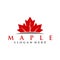 Maple red logo vector stock vector. Illustration of icon - 174165352
