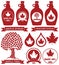 Maple Syrup stock vector. Illustration of banner, isolated - 48369039