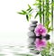 Massage with Orchid and Bamboo Stock Image - Image of foliage ...