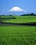 Mount Fuji XI stock image. Image of mountain, harvest - 1964555