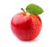 One apple stock photo. Image of closeup, isolated, fresh - 45309896