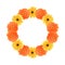 Orange and Yellow Daisy Circle Frame Stock Photo - Image of fresh ...