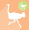 Ostrich silhouette stock illustration. Illustration of silhouette ...