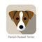 2,552 Parson Russell Terrier Stock Fotos - Freie & Royalty-Free Stock ...