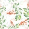 Pattern of rowan stock illustration. Illustration of painting - 56318562