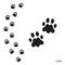Paw Prints, Animal Footprints, Lynx Footprints Template. Icon and Track ...