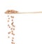 Peanut Fall, Brown Grain Peanuts Explode Abstract Cloud Fly from Wooden ...