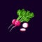 Pixel-art Radish. a Slice of Radish and Whole Radish on Blue Background ...