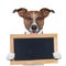 Placeholder banner dog stock image. Image of russell - 26927621