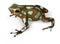 3,884 Poison Dart Frog Bmi Stock Photos - Free & Royalty-Free Stock ...
