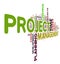 Project Management in Tag Cloud Stock Illustration - Illustration of ...