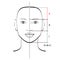 Proportions Parfaites De Visage Illustration Stock - Illustration du ...