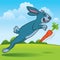 Rabbit Chasing a Carrot stock vector. Illustration of hare - 13333144