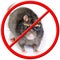 The Rat is Banned. Crossed Out with the NO Sign Stock Photo - Image of ...