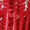 Red fern texture stock image. Image of material, flora - 148821