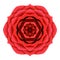 Red Rose Mandala Flower Kaleidoscopic Isolated on White Stock Image ...