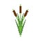 Reeds Pixel Art. Pond Plant 8 Bit Stock Vector - Illustration of ...